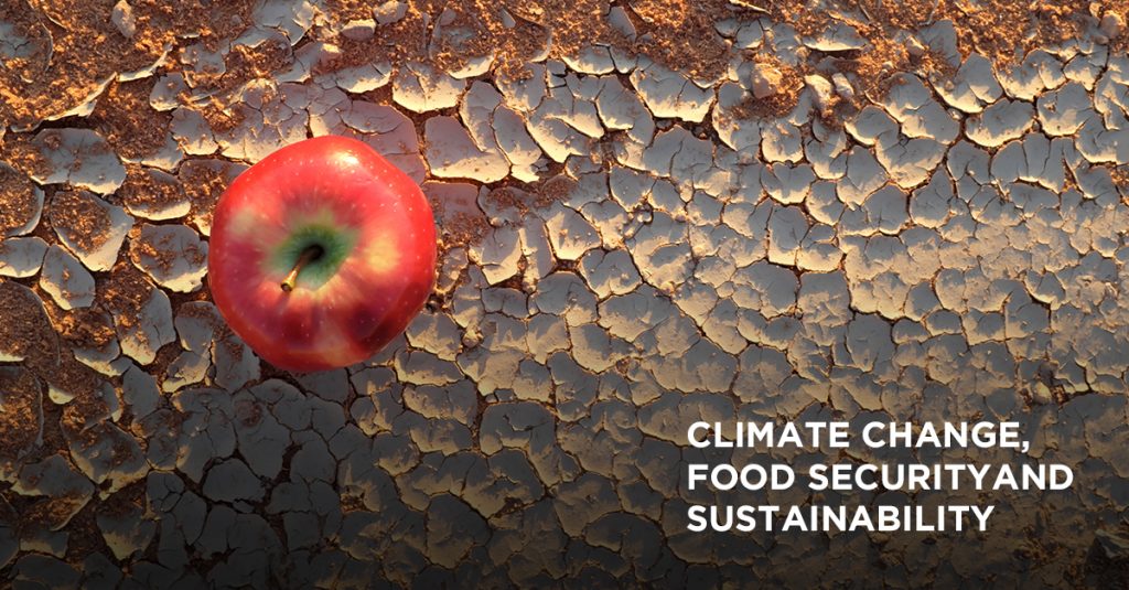 Climate change, food security and sustainability: Factors determining ...
